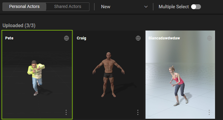 Actor Settings